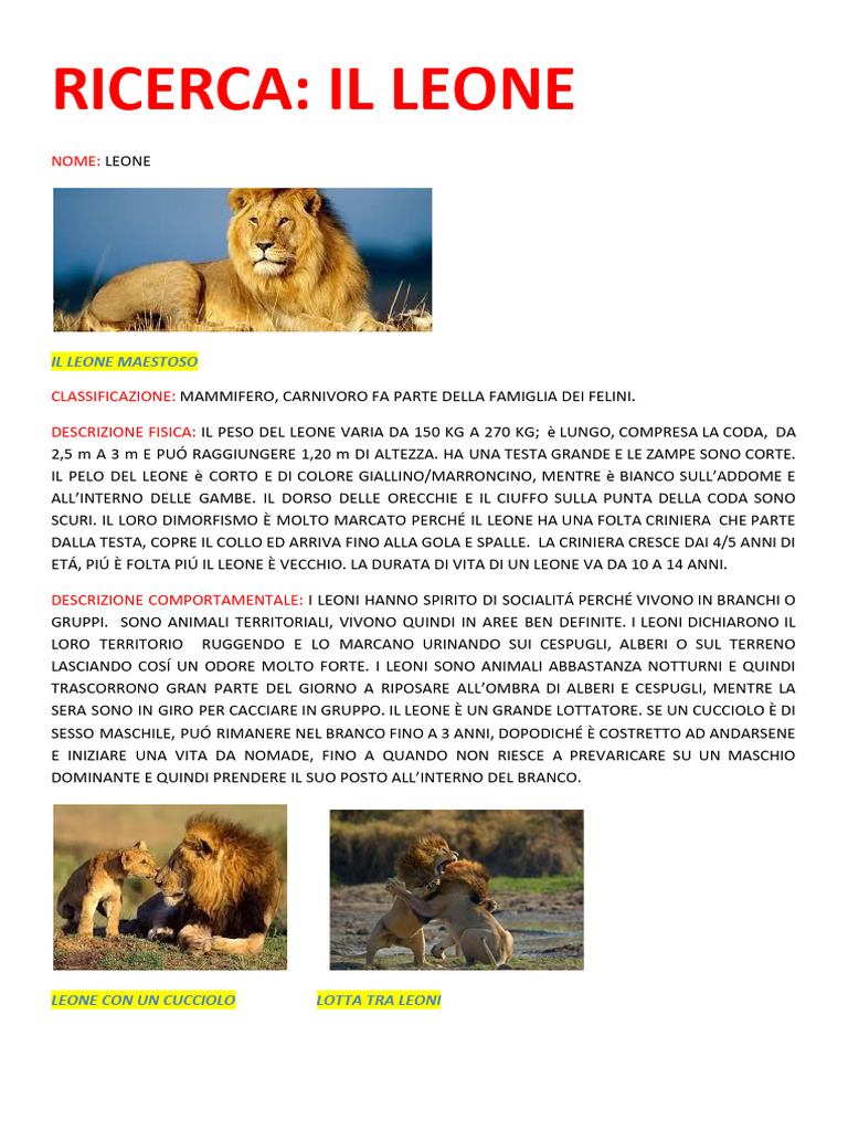 Il Leone | PDF