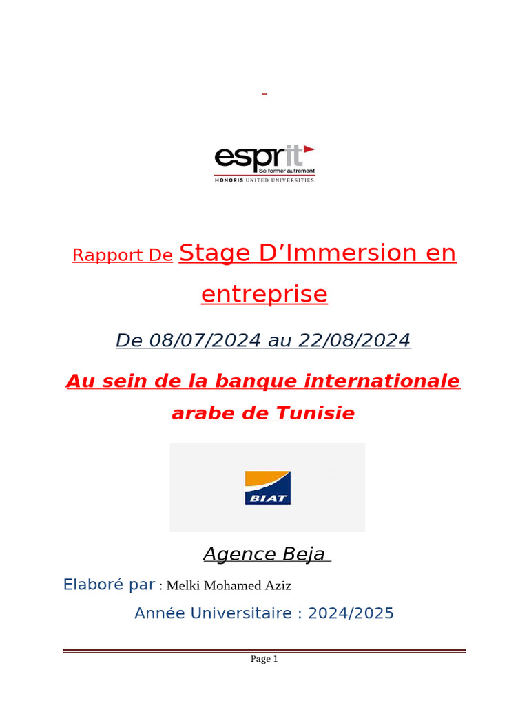 Rapp de Stage BIAT | PDF