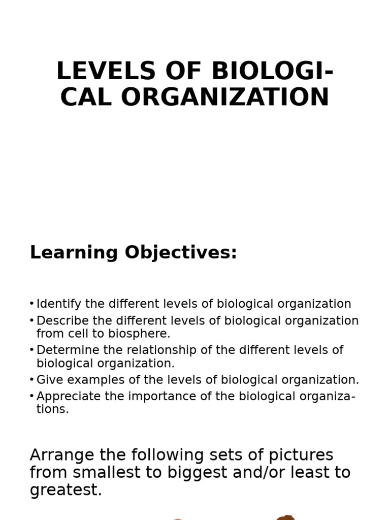 2 Levels of Biological Organization | PDF