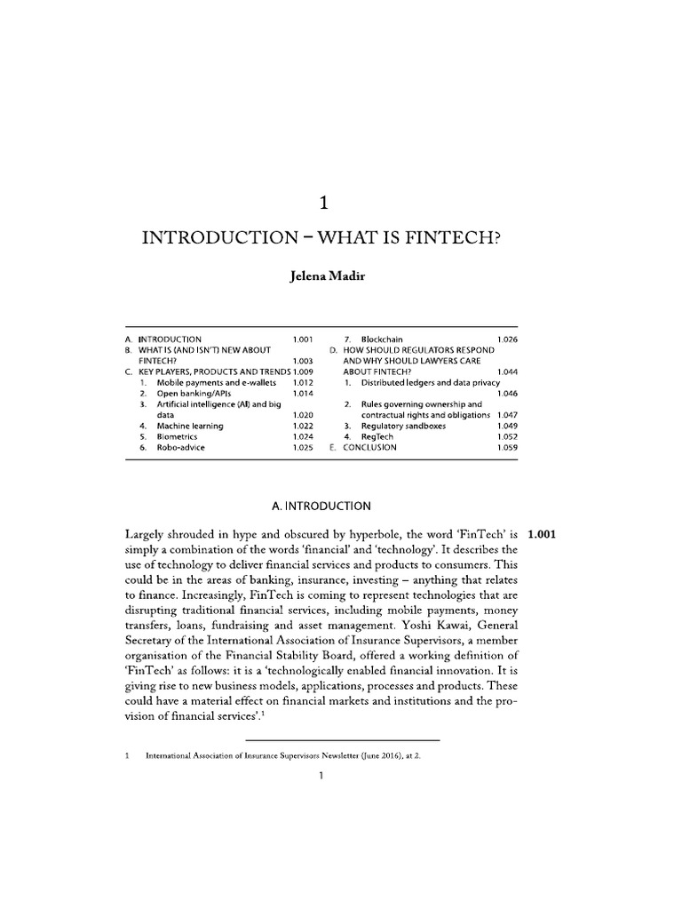 Jelena Mair - What Is Fintech | PDF