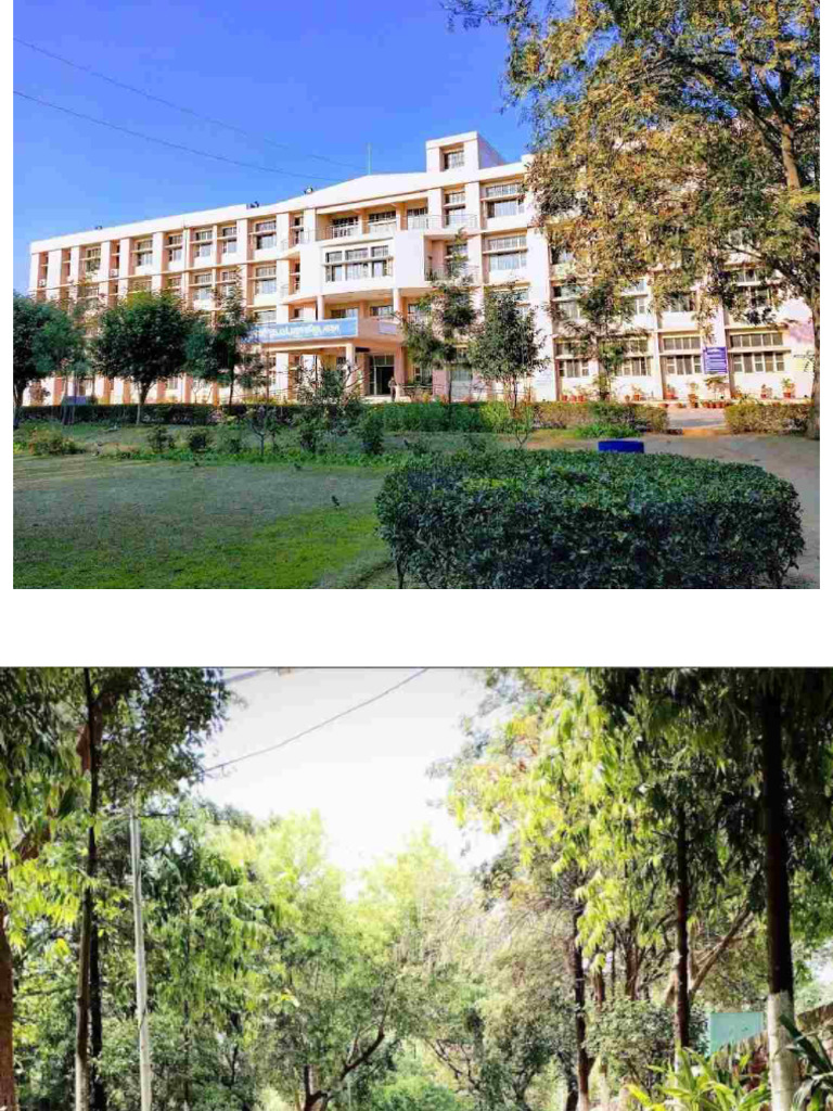 College Life Photography | PDF