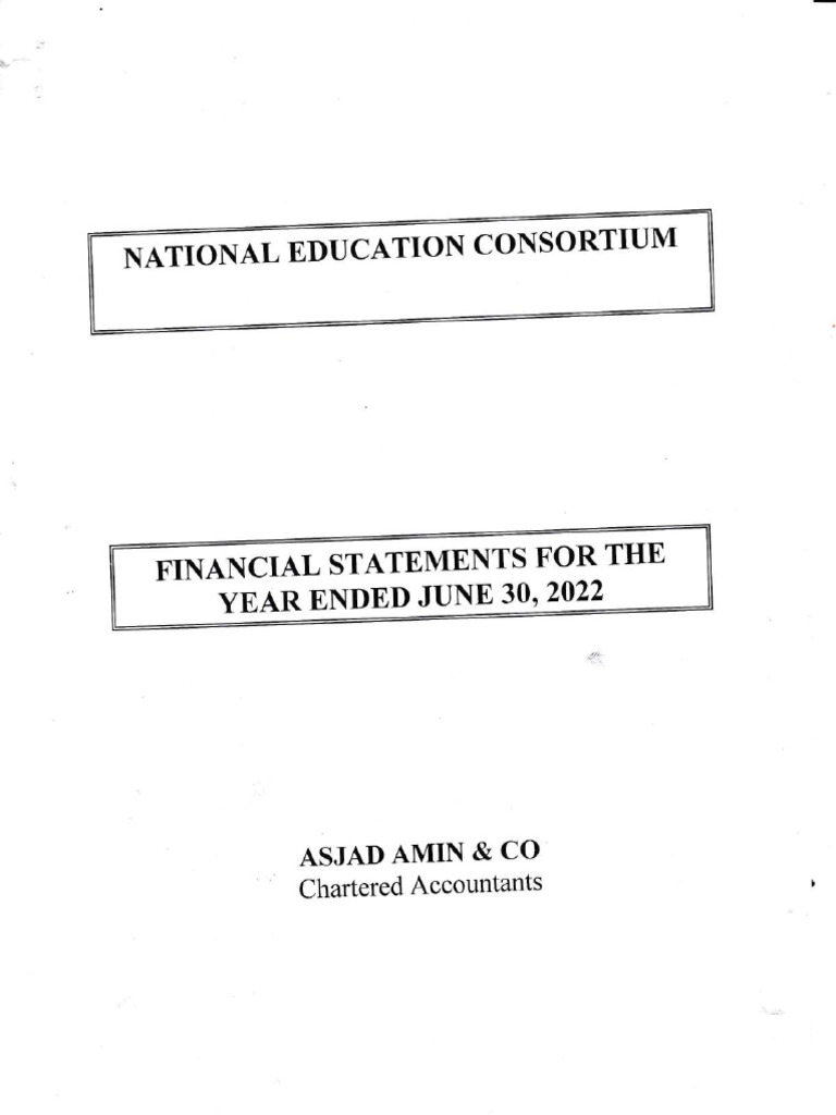 NEC Audited Accounts 2022 | PDF