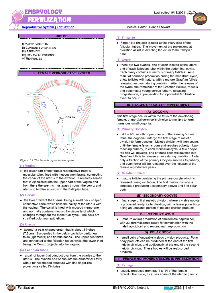 Reproductive System Fertilization (2) Atf | PDF