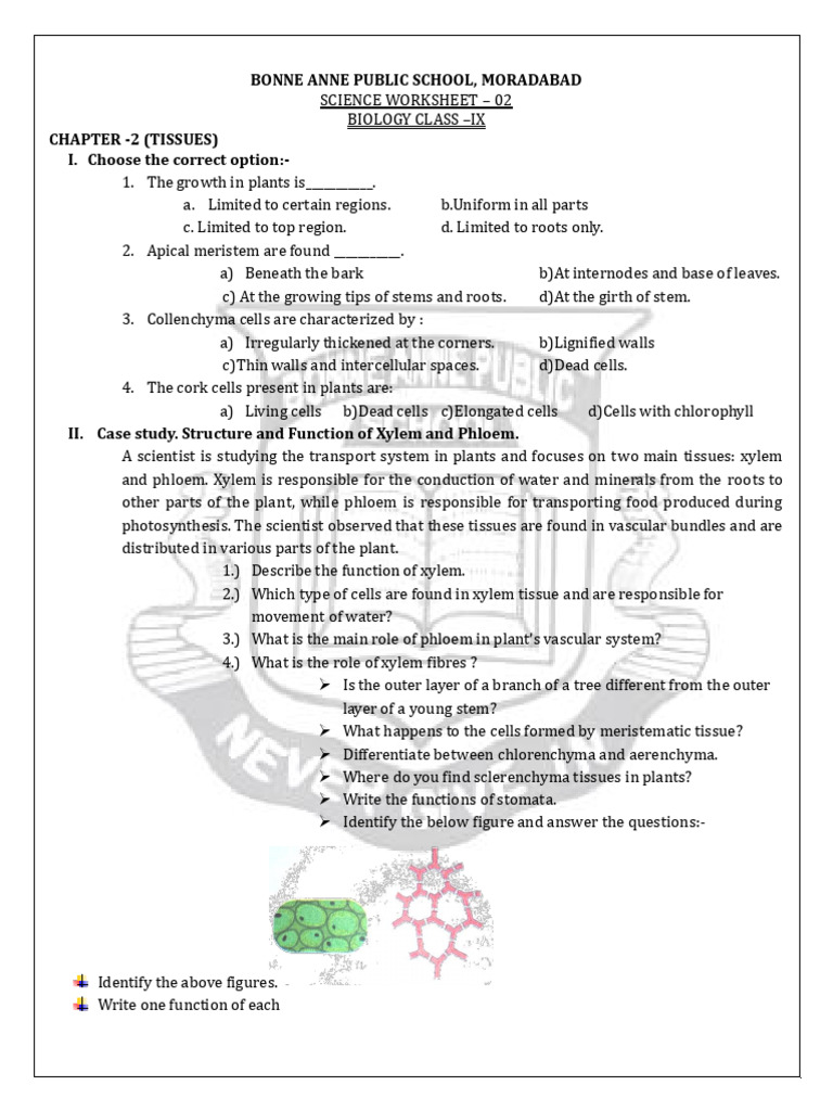Science Worksheet - 02 (Bio) | PDF