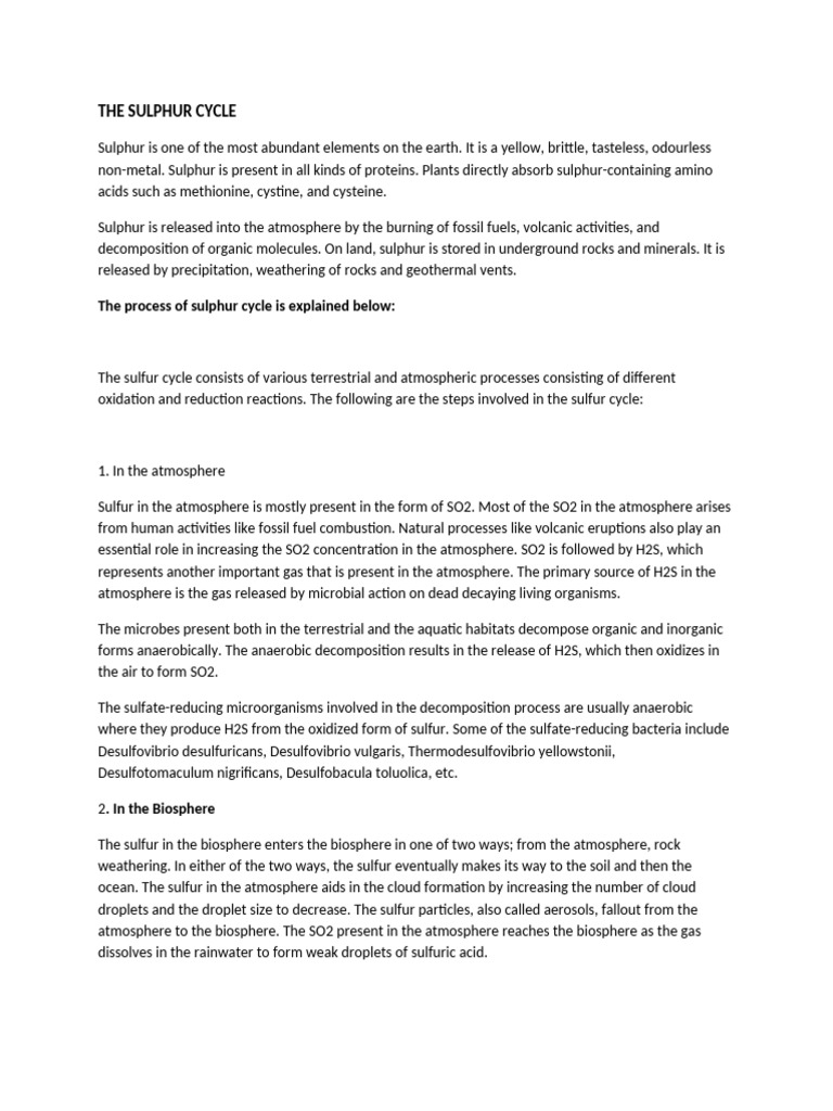 THE SULPHUR CYC-WPS Office | PDF