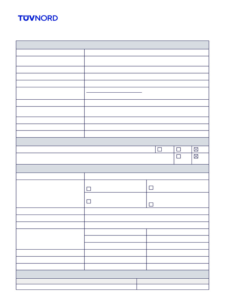 Final External Audit Plan-2023 | PDF