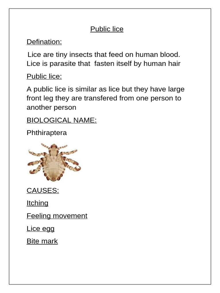 Public Lice | PDF