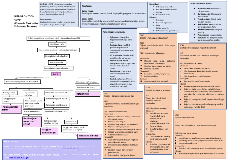 Web of Caution Copd Risma Revisi | PDF