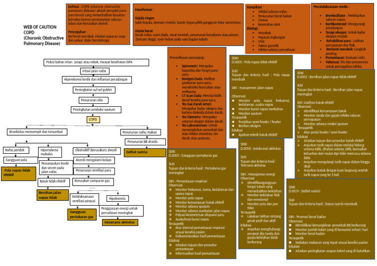 WEB OF CAUTION COPD RISMA-1 | PDF