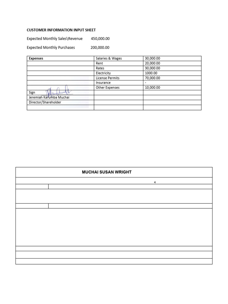 MS WRIGHT FINANCIAL PROJECTION | PDF