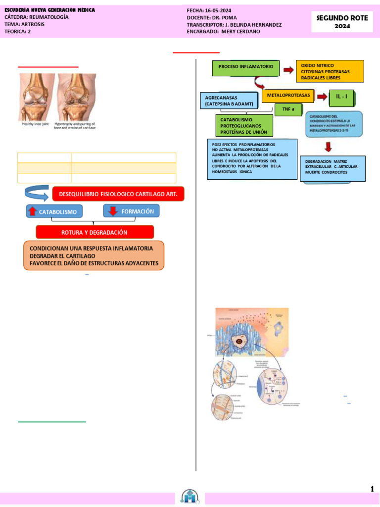 Teo 2. Artrosis | PDF | Medical Specialties | Skeletal System