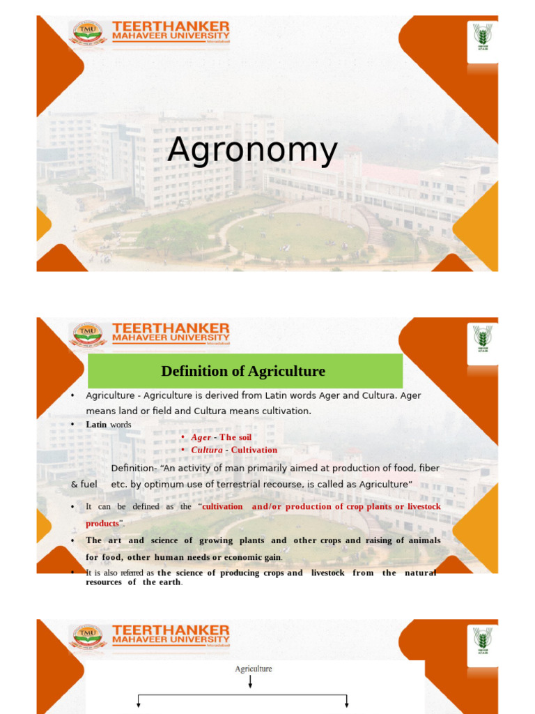 Agronomy | PDF