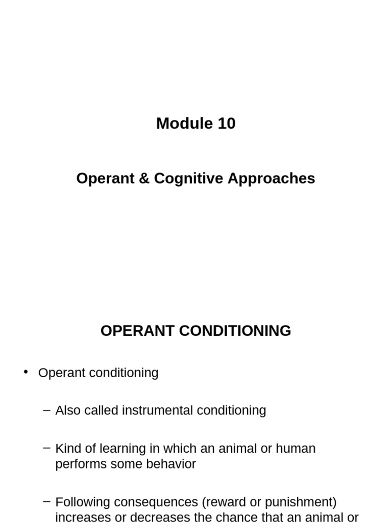 Class 3 Module 10vs9 Final | PDF