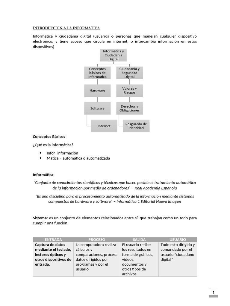 Introduccion A La Informatica | PDF