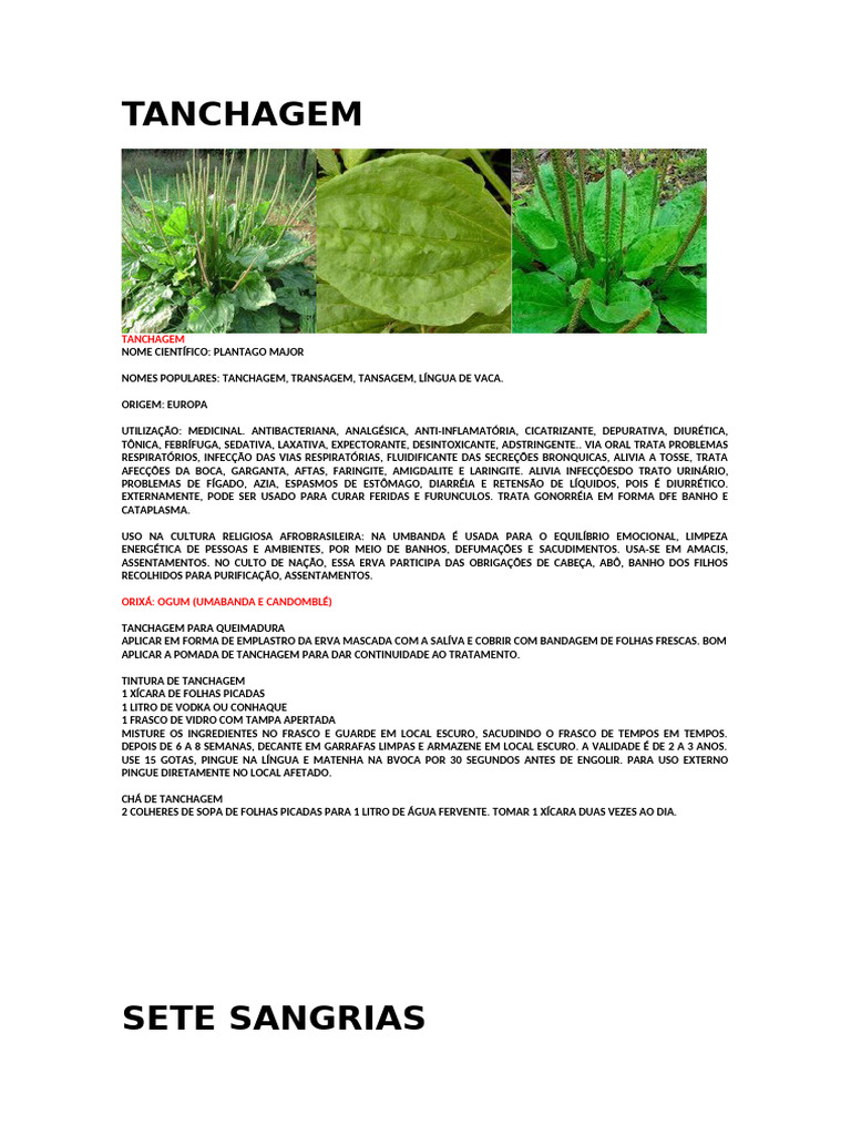 Ervas e Seus Usos | PDF