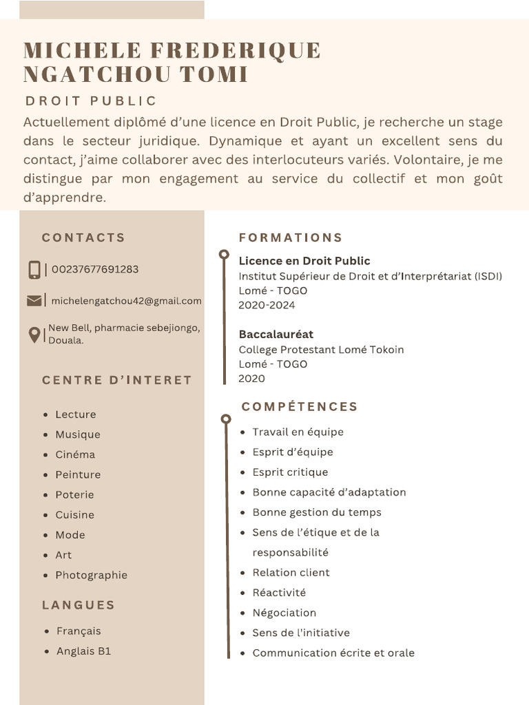 CV Ngatchou Tomi Michele Frederique PDF | PDF