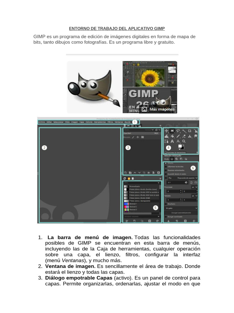 Guía Completa del Entorno de GIMP | PDF | Informática