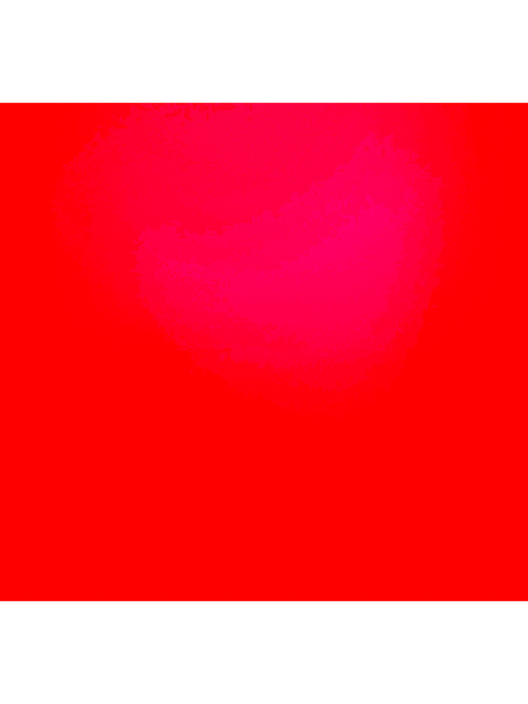 Document 151 Pdf