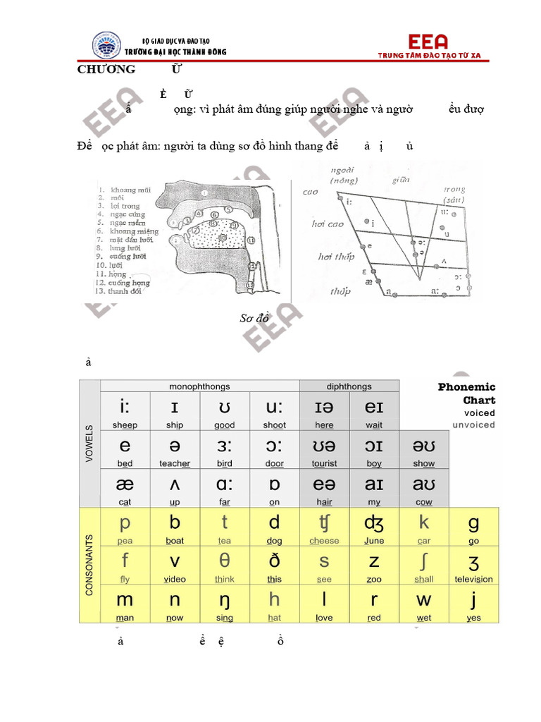Bai2 Nhapmon Ngon Ngu Anh | PDF