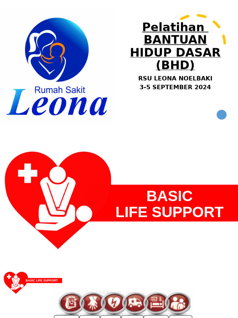 Bls & Acls Leona Noelbaki | PDF