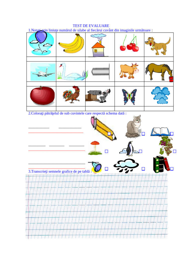 Test de Evaluare Perioada Preabecedara Clasa I | PDF