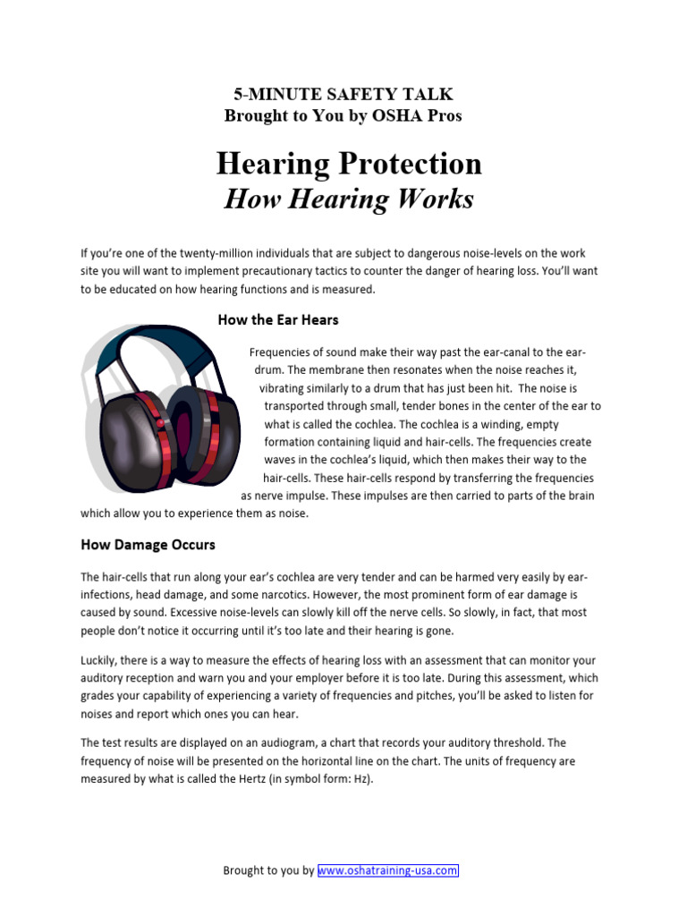 Hearing Protection Rewrite 2 | PDF