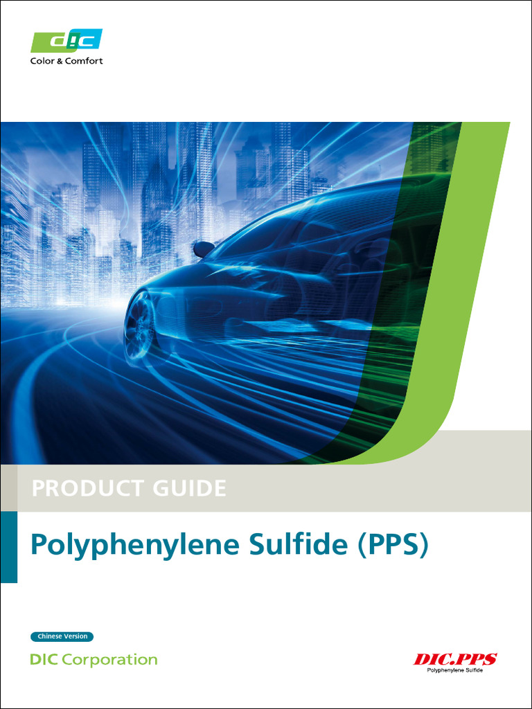 Dic Pps Property CN | PDF