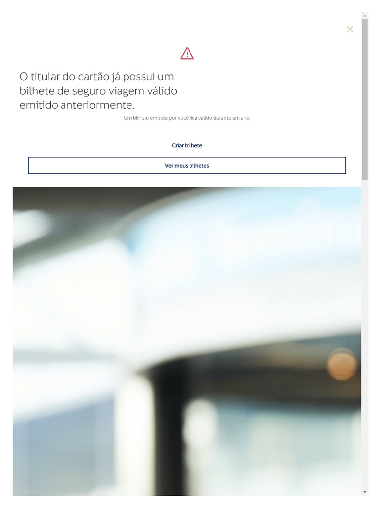 Visa Benefits Portal | PDF