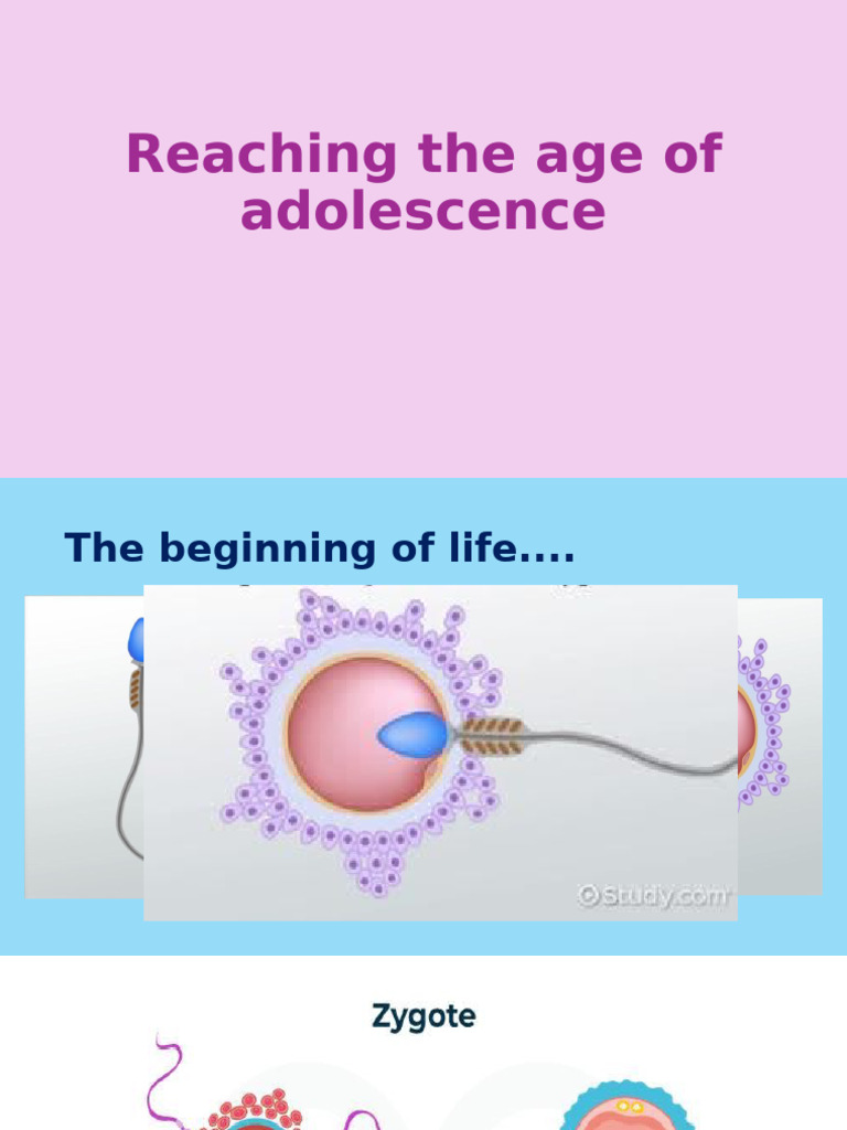 Understanding Adolescence and Puberty | PDF | Adolescence | Puberty