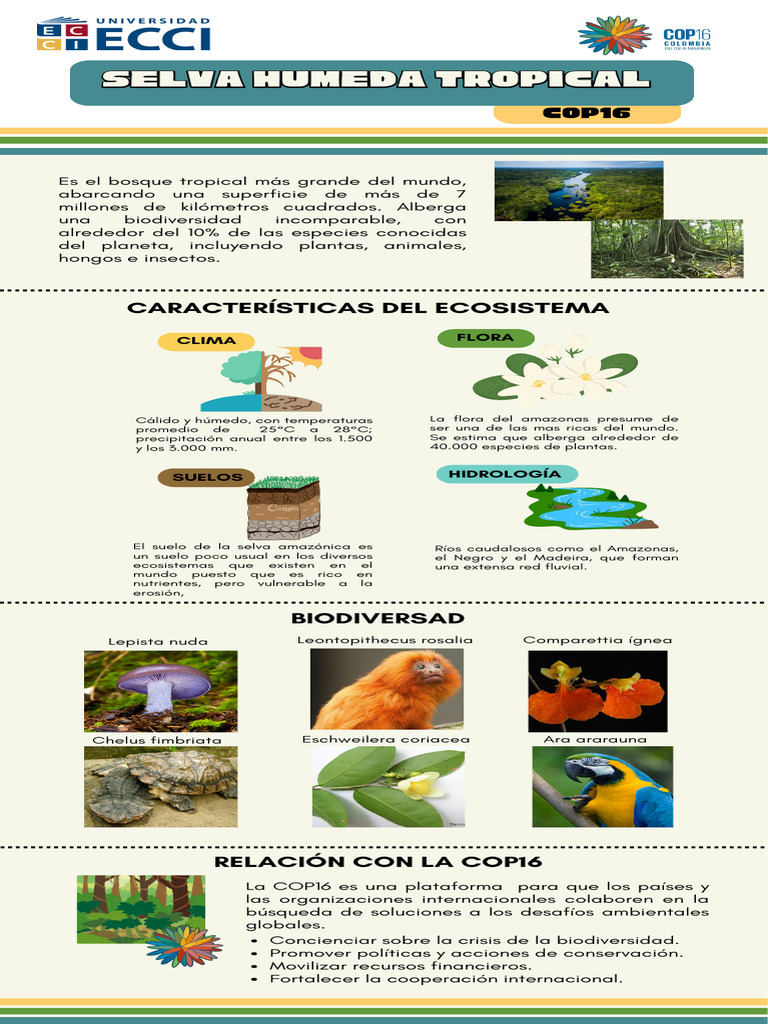 Selva Húmeda Tropical | PDF