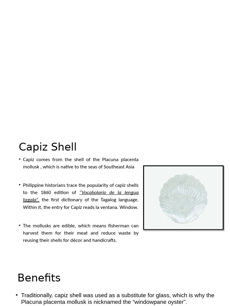 capiz shell, palm | PDF