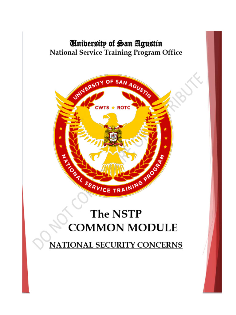NSTP Common Module On National Security Concerns 2024-2025 | PDF