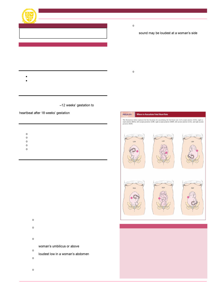 Fetal Heart Tone | PDF