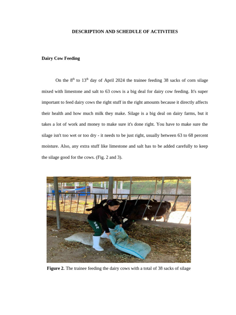 DESCRIPTION and SCHEDULES OF ACTIVITIES | PDF