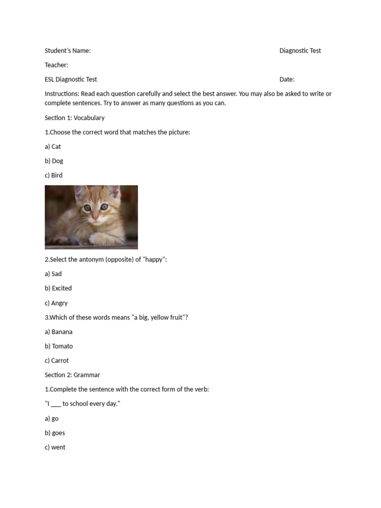 Diagnostic Test For A1.1 | PDF | Language Arts & Discipline | Foreign ...