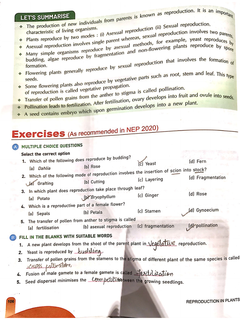 Complete Back Exercises | PDF