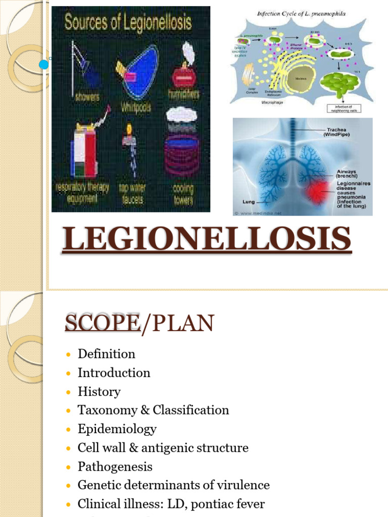 Legionellosis 30 | PDF