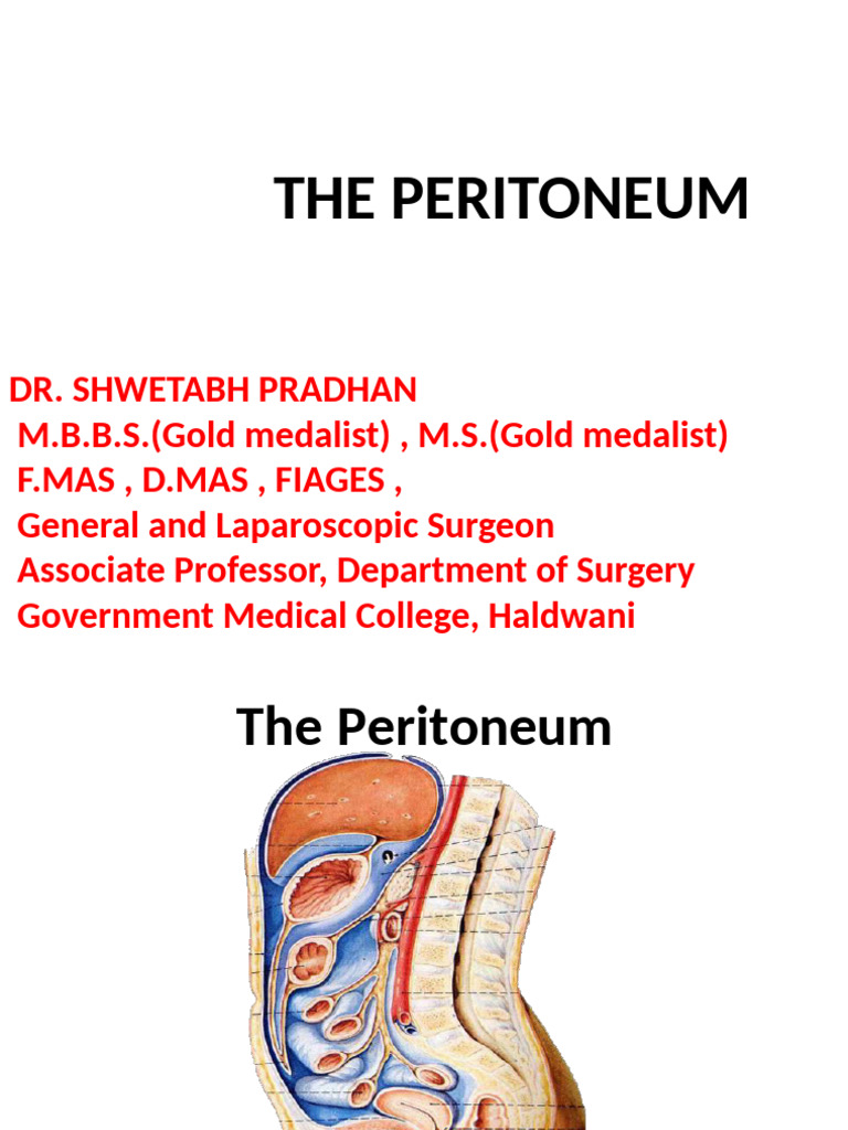 Peritoneum | PDF