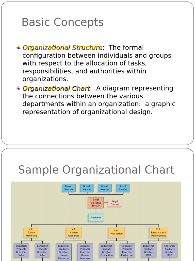 5 Organizational - Structure | PDF