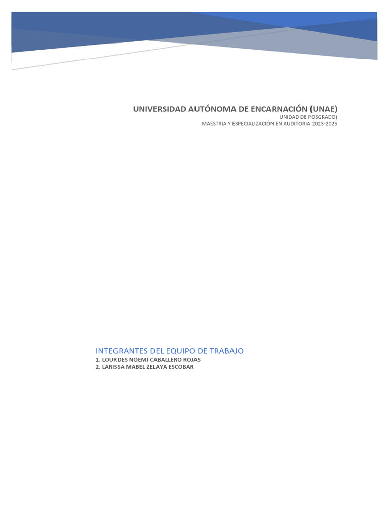 TP2 Informe de Riesgo de Fraude-Corregido | PDF