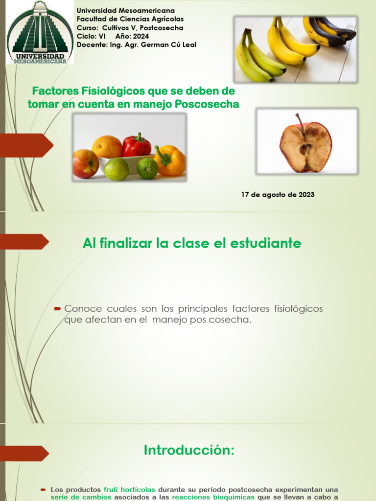 Factores Fisiologicos en Postcosecha | PDF
