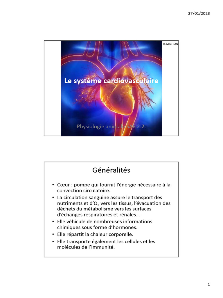 Diapo SAE2.2. Complet | PDF