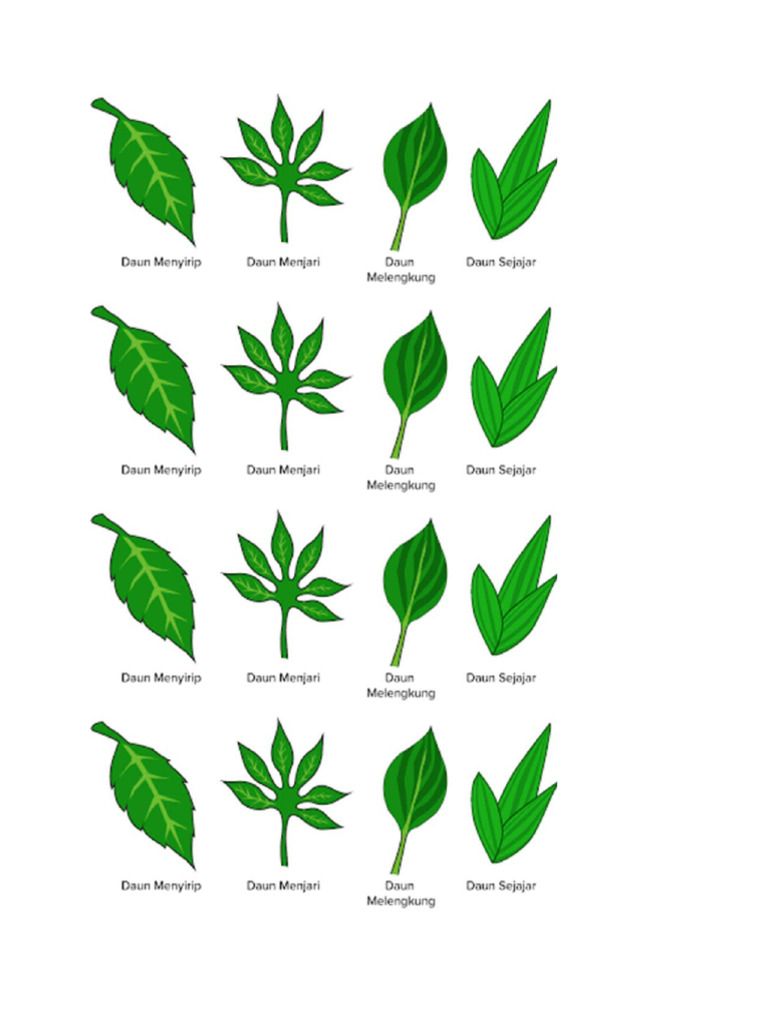 DAUN | PDF