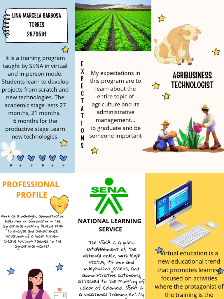 FOLLETO INGLES | PDF