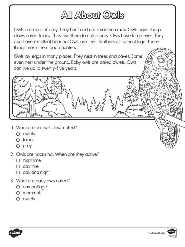 Black and White First Grade All About Owls Reading Passage ...