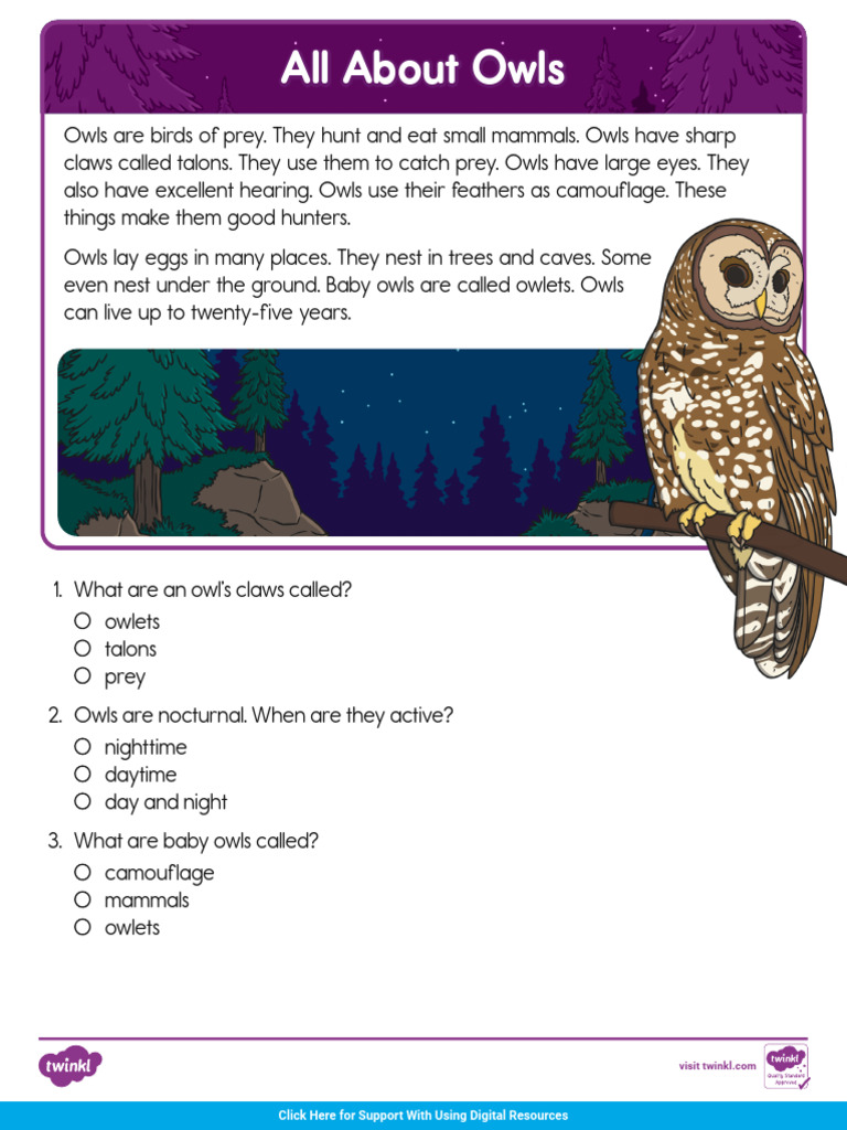 Digital First Grade All About Owls Reading Passage Comprehension ...