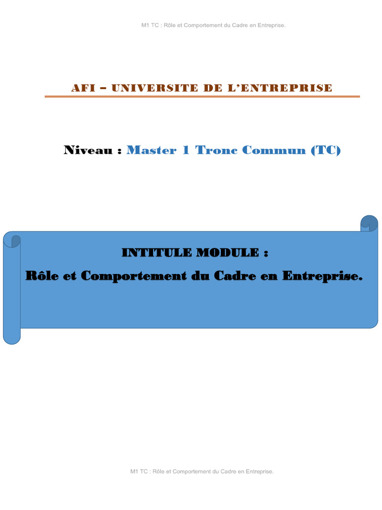 Afi Ue M1 TC Rfole Et Comportement Du Cadre en Entreprise. | PDF