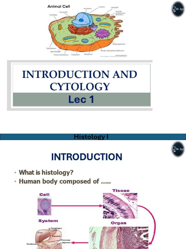 Cytology Lec1 Histology I | PDF | Cell Nucleus | Wellness