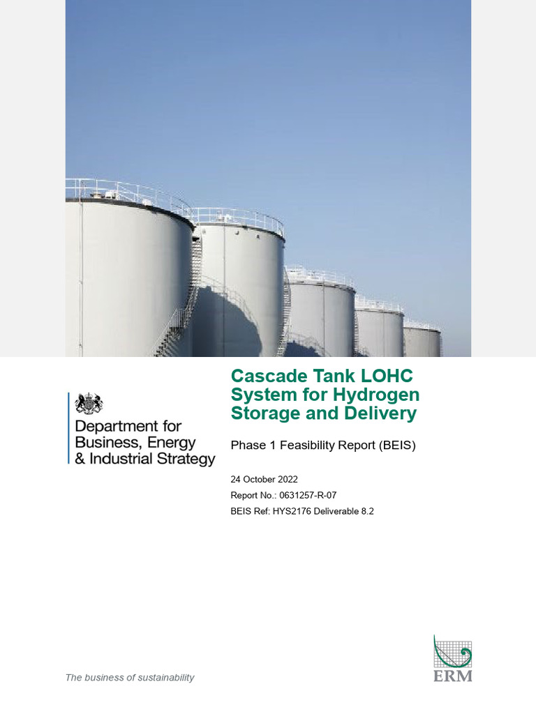 HYS2176_ERM_Final_Feasibility_Report__Public_ | PDF