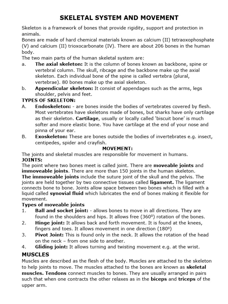 Notes On Skeletal System and Movement | PDF | Skeleton | Skeletal System